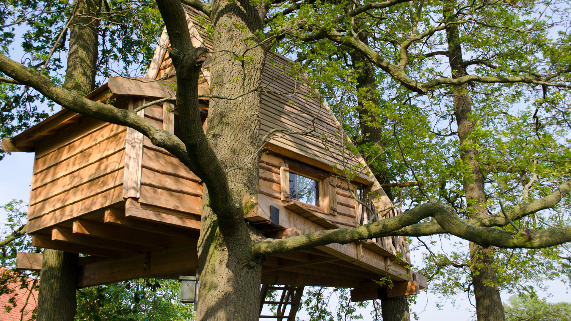 Cabane ô rêves - Constructeur de cabane dans les arbres